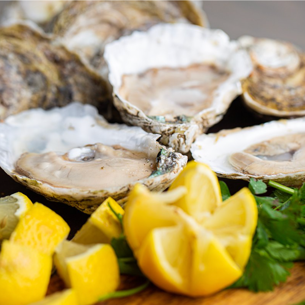 Steamers Restaurant and Catering | Outer Banks Restaurant Guide